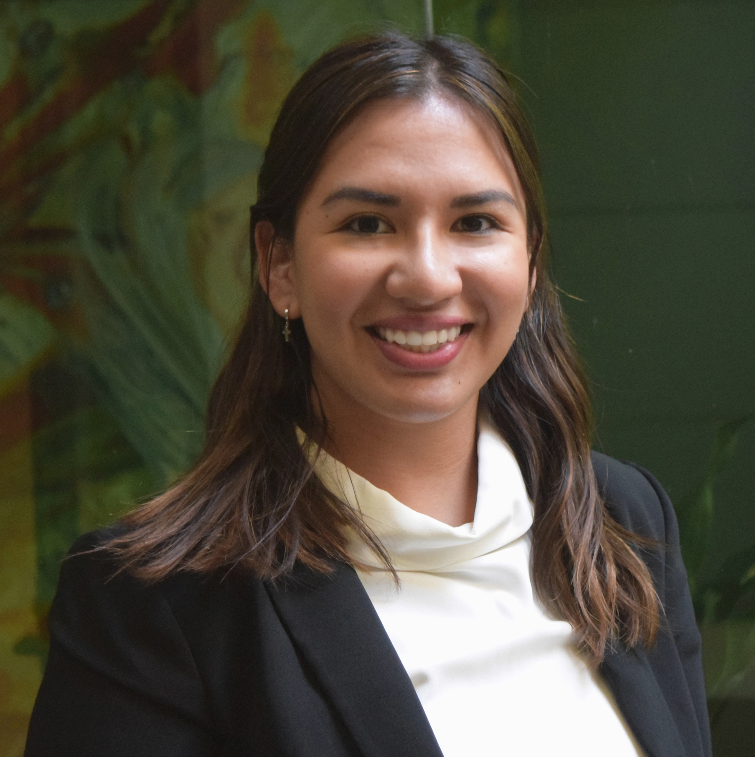 VILA Attorneys at Law