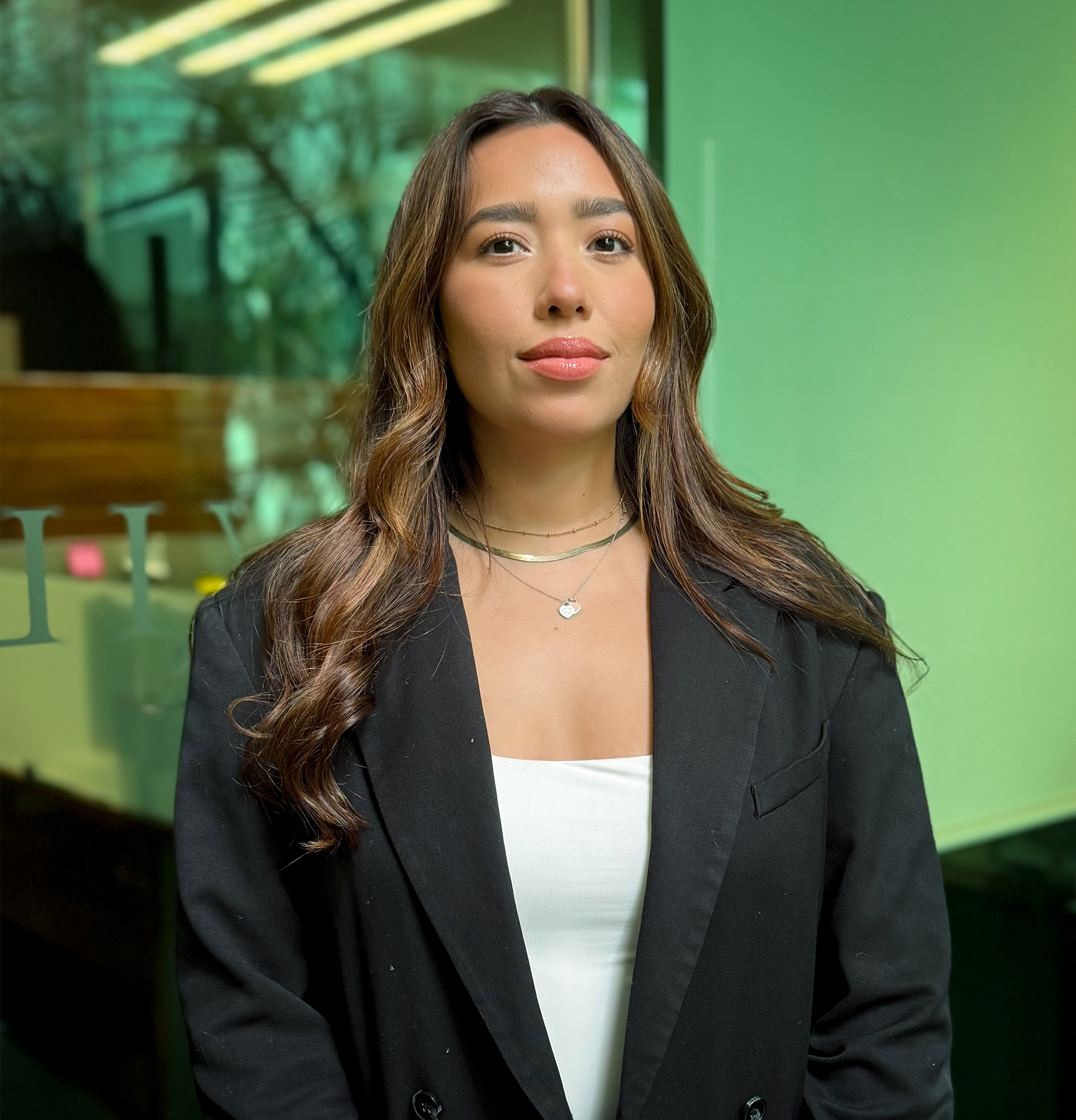 VILA Attorneys at Law